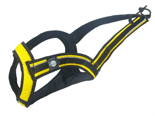 Výběr postroje :: Siberian husky